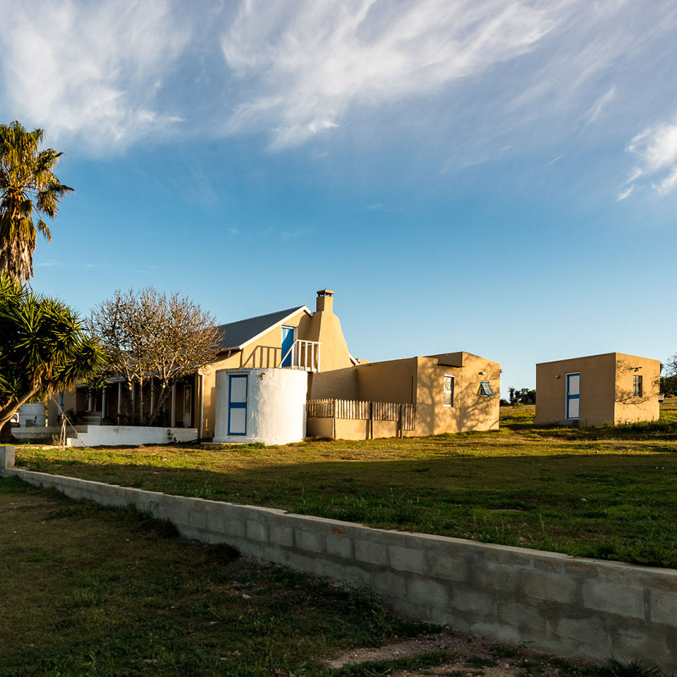 Haarwegskloof – the Renosterveld Reserve you must visit - Agulhas ...